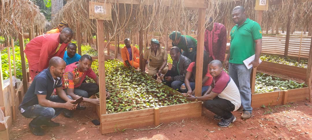 UFA-Reforest: towards sharing experience | Fair&Precious