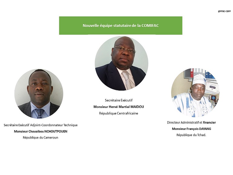 A new statutory team for COMIFAC | Fair&Precious