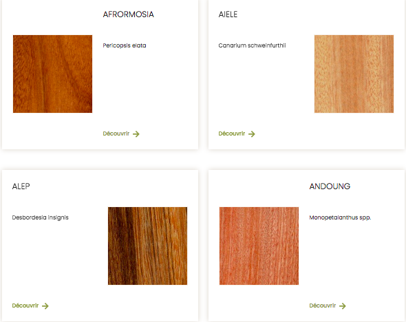 Discover the extraordinary variety of African timbers | Fair&Precious