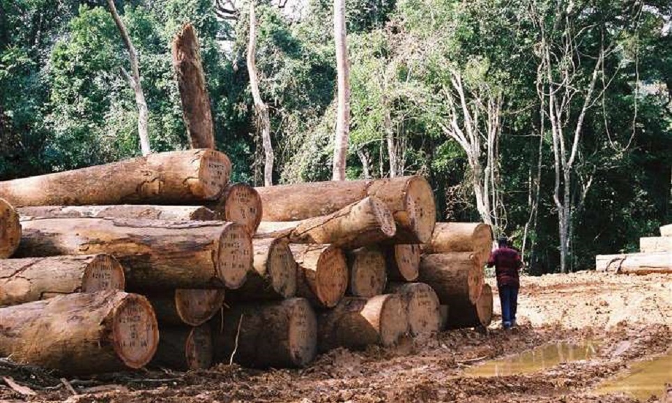 L’UFIGA publie une étude des systèmes de certification de gestion ...