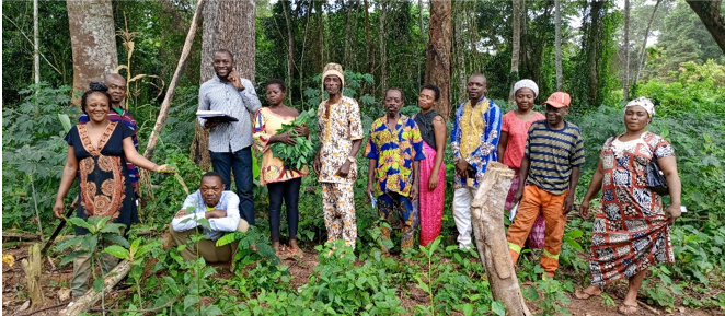 UFA-Reforest : vers la mise en place de systèmes d’approvisionnement en ...