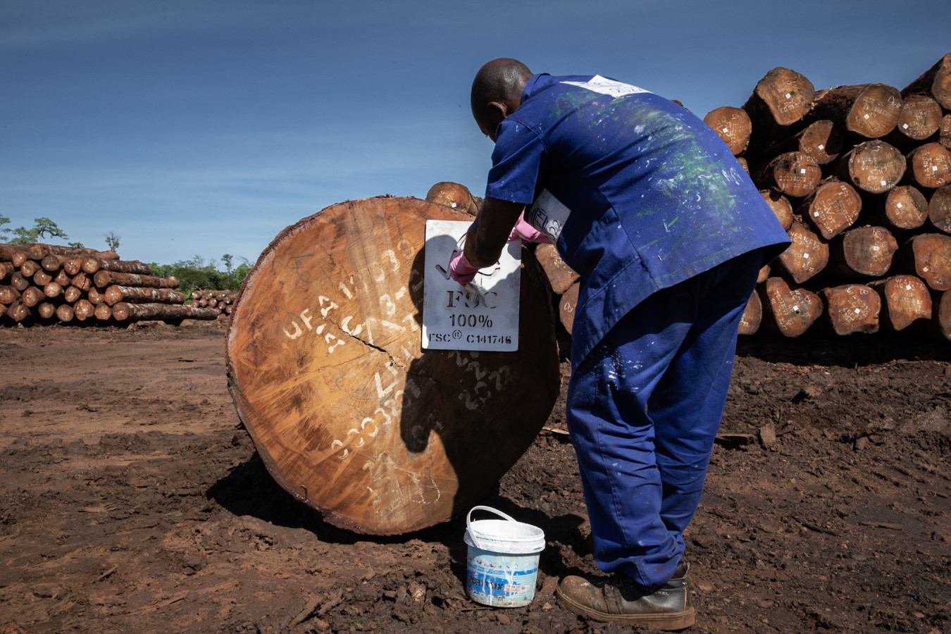 Publication: An overview of the timber traceability systems in the ...