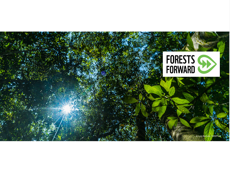 "Forests Forward" : WWF's new platform | Fair&Precious