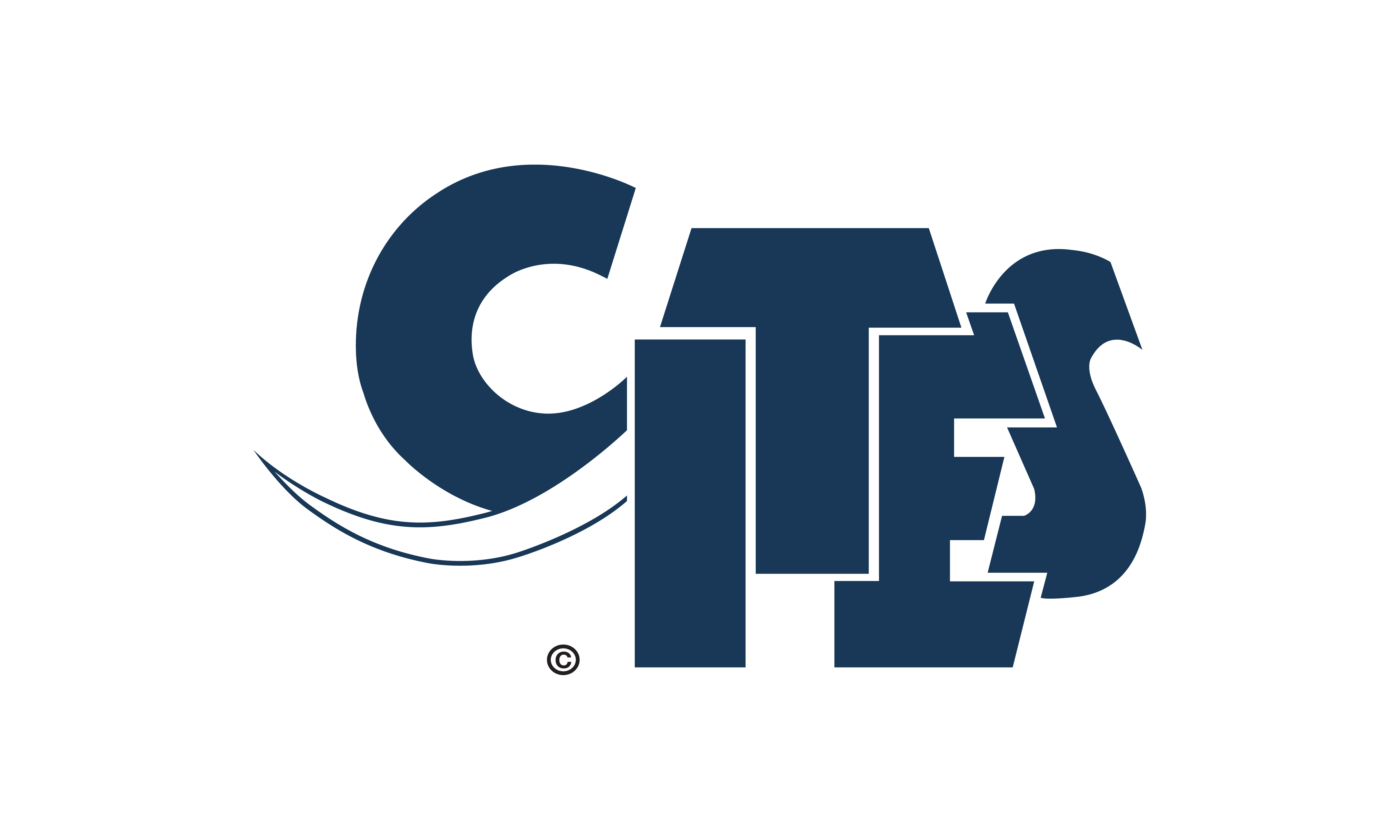 Monitoring CITES activities at ATIBT | Fair&Precious