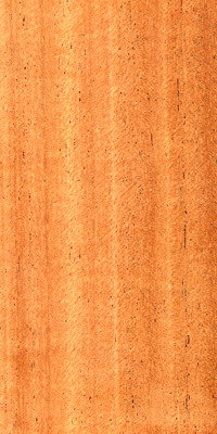 Acajou d'Afrique: a versatile exotic timber