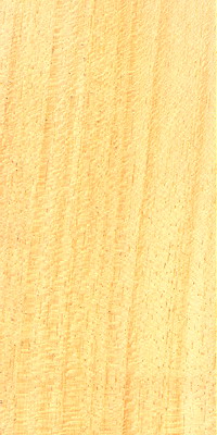 AYOUS: an exotic timber with aesthetic potential for interior design