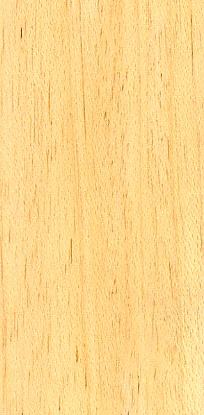 Fuma: a well known tropical timber species for plywood