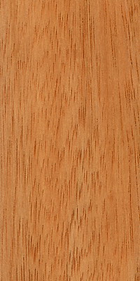 Gombé: a versatile african tropical timber species